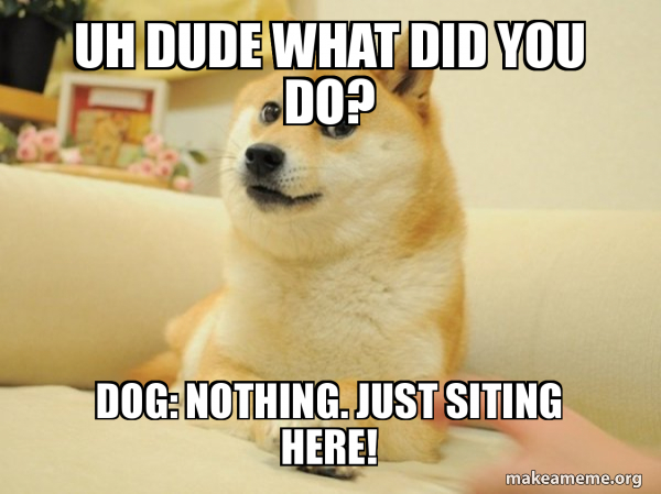 Uh Dude What Did You Do Dog Nothing Just Siting Here Doge Make Uh Dude What Did You Do Dog Nothing Just Siting Here Doge Make