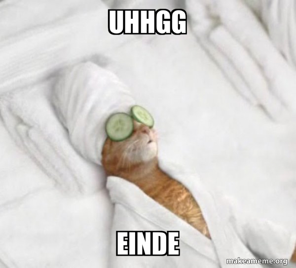 uhhgg einde - Pampered Cat Meme Meme Generator