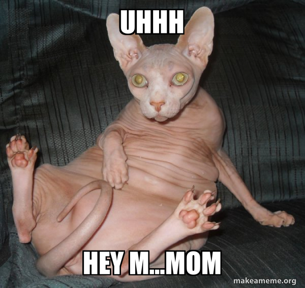 Uhhh Hey m…mom - Hairless Cat Meme Generator