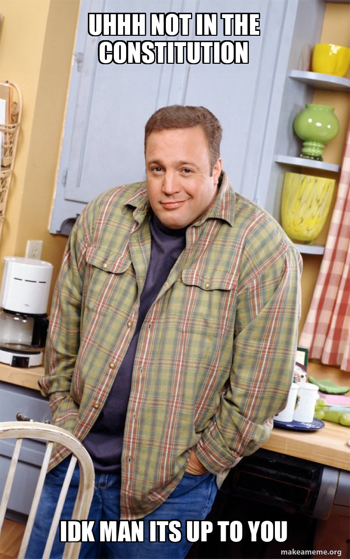 Uhhh not in the constitution idk man its up to you - Kevin James Meme ...