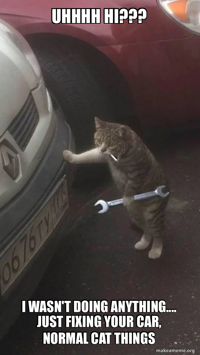 UHHHH HI??? I wasn't doing anything.... Just fixing your car, normal ...