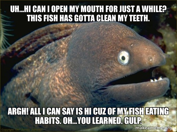 Uh...hi can i open my mouth for just a while? this fish has gotta clean ...