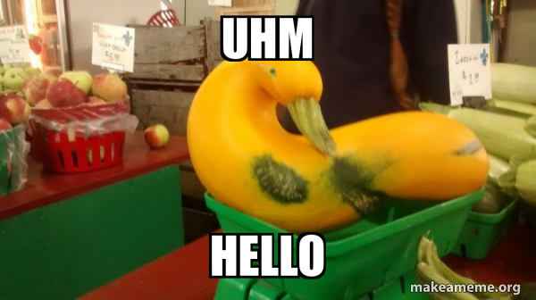 UHm Hello - Gourd Advice Mallard Meme Generator