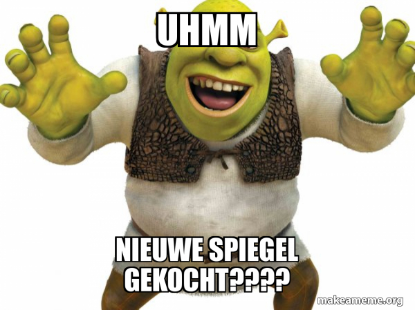 Uhmm Nieuwe spiegel gekocht???? - Shrek Meme Generator