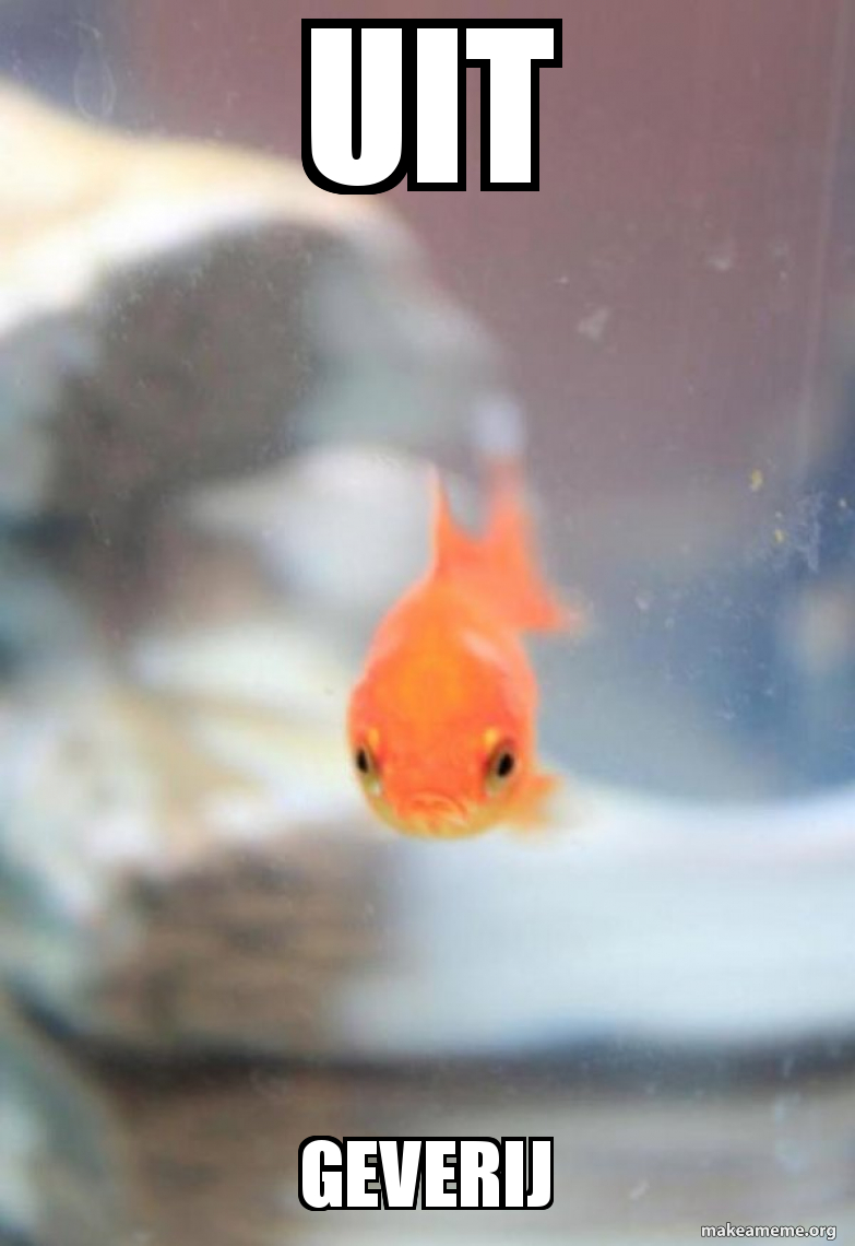 uit geverij - Grumpy Fish Meme Generator