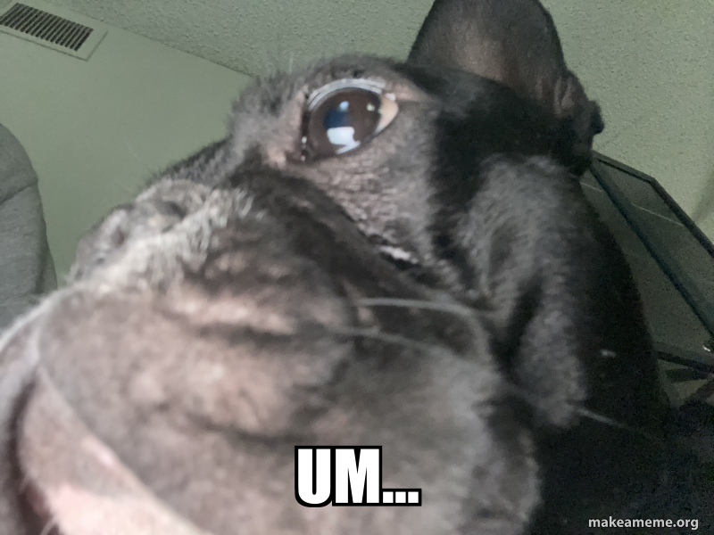 Um… Meme Generator