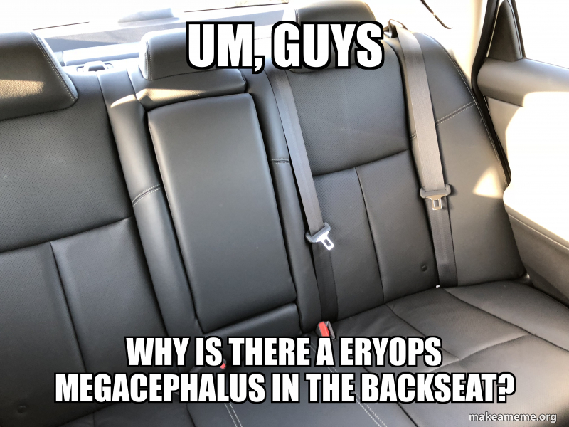 Um, gUys Why is there a Eryops megacephalus In the bAckseat? Meme Generator