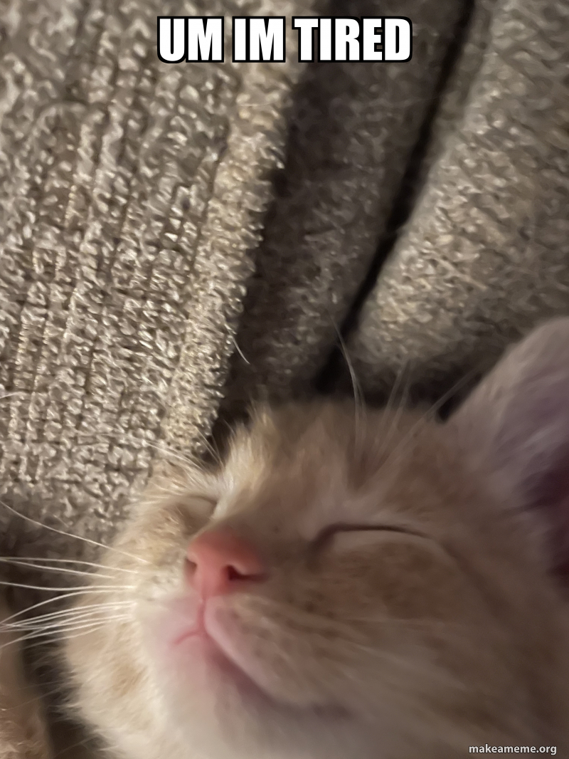 Um im tired Meme Generator