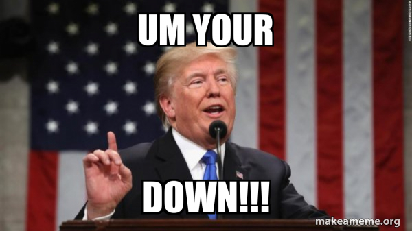 UM YOUR DOWN!!! - Donald Trump Meme Generator