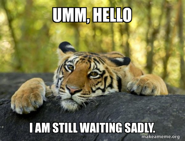 Umm, hello I am still waiting sadly. - Confession Tiger Meme Generator
