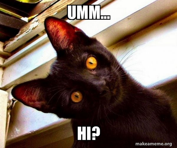 Umm... Hi? - Overly Attached Cat Meme Generator