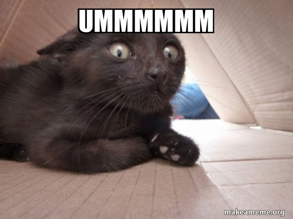 UMMMMMM - Schitzo Cat Meme Generator