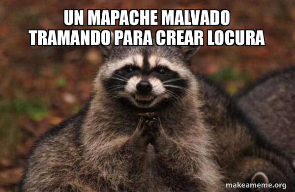un mapache malvado tramando para crear locura - Evil Plotting Raccoon ...