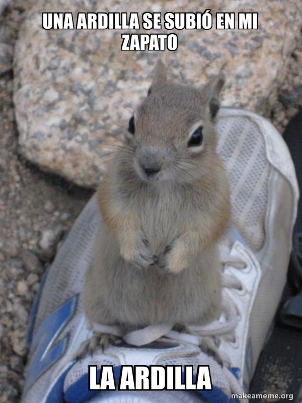 Una ardilla se subió en mi zapato La ardilla - Standover Squirrel Meme ...