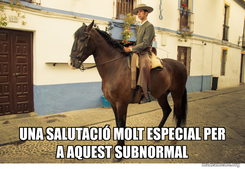 Una salutació molt especial per a aquest subnormal Meme Generator