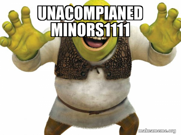 UNACOMPIANED MINORS1111 - Shrek Meme Generator