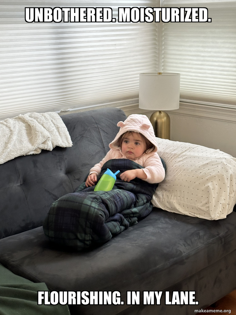 Unbothered. Moisturized. Flourishing. In my lane. Meme Generator