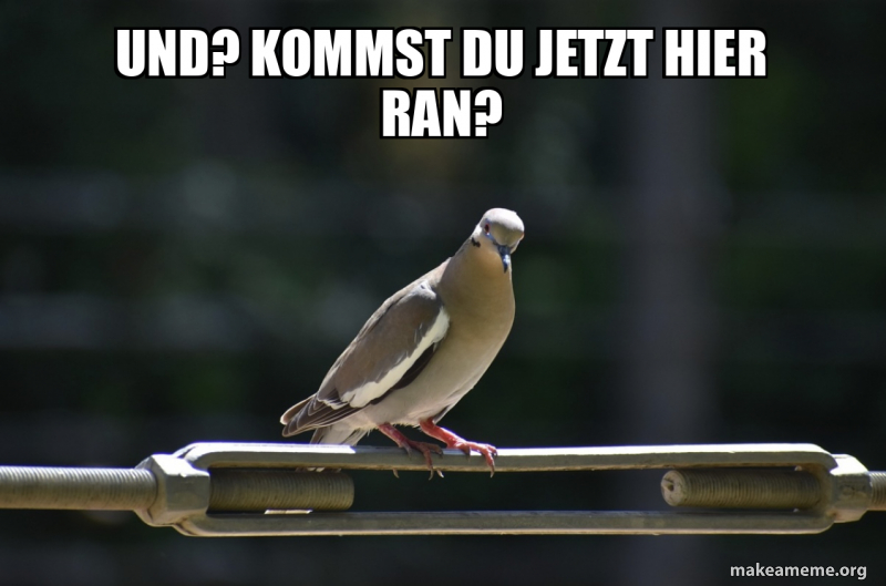 Und? Kommst du jetzt hier ran? Meme Generator