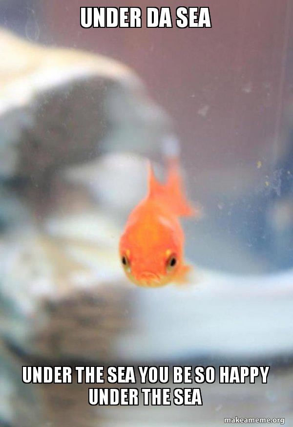 under da sea under the sea you be so happy under the sea - Grumpy Fish ...