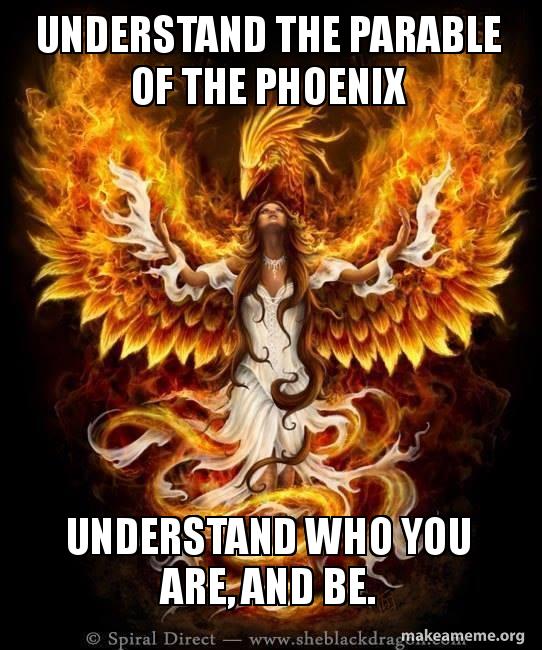 Understand the parable of the Phoenix Understand who you are, and be ...