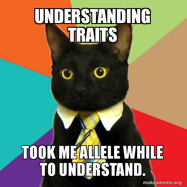 Understanding traits took me allele while to understand. - Business Cat ...