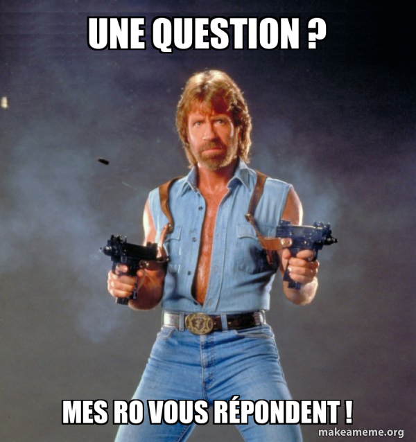 Une question ? Mes RO vous répondent ! - Chuck Norris Meme Generator