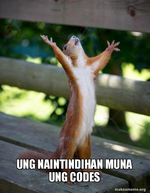 Ung naintindihan muna ung Codes - Happy Squirrel Meme Generator