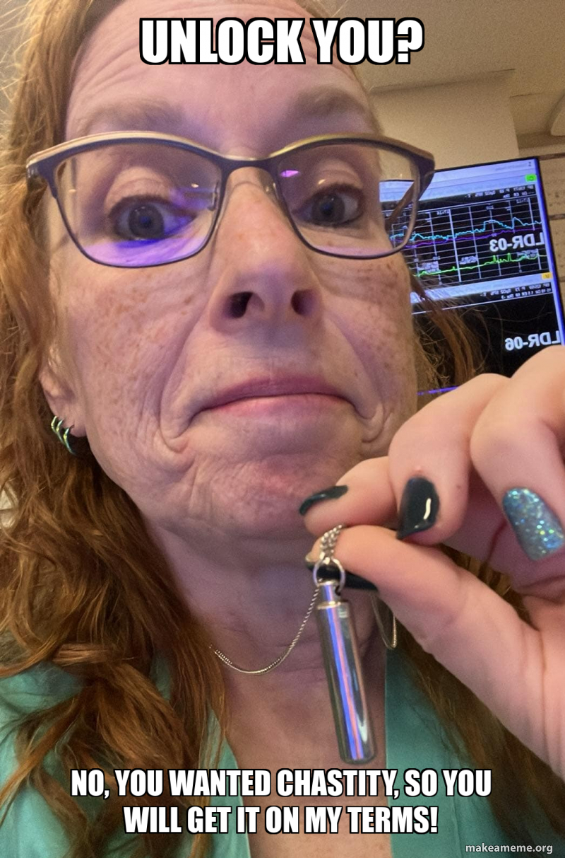 Unlock you? no, you wanted chastity, so you will get it on my terms! Meme Generator