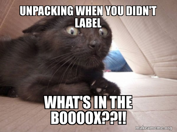 unpacking when you didn't label What's in the boooox??!! - Schitzo Cat ...