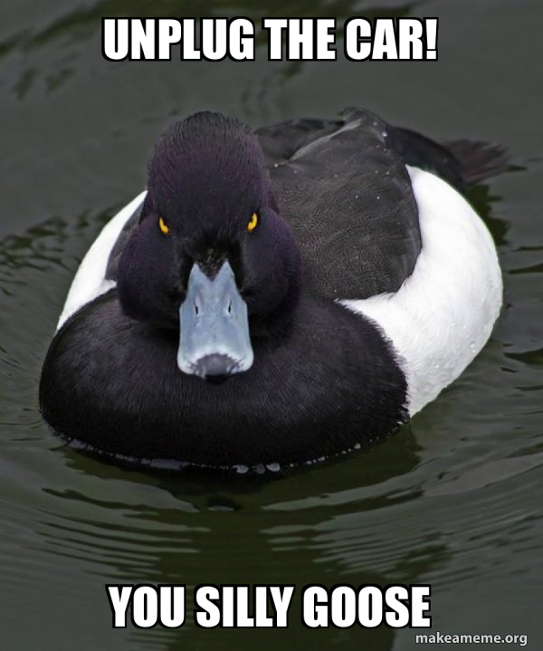 UNPLUG THE CAR! YOU SILLY GOOSE - Revenge Duck ( Angry Advice Duck ...