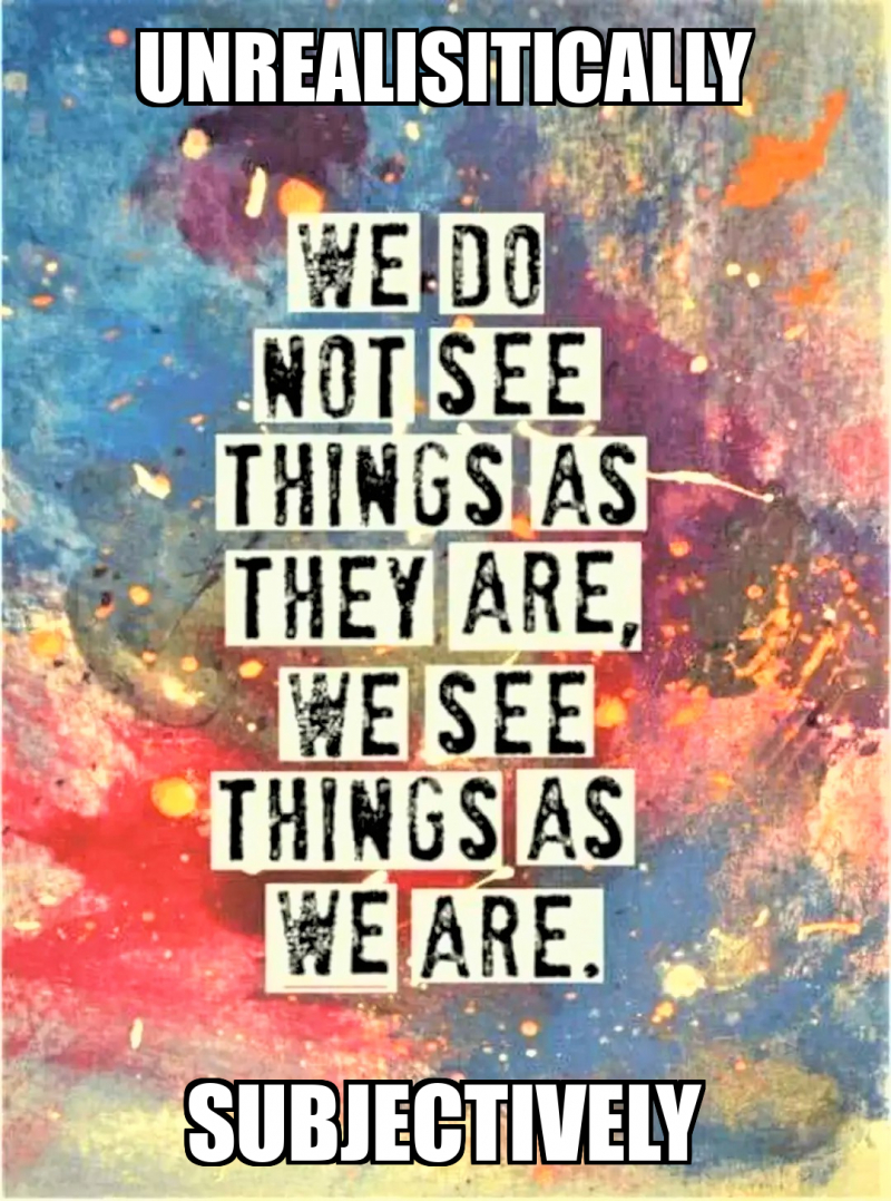 unrealisitically subjectively Meme Generator