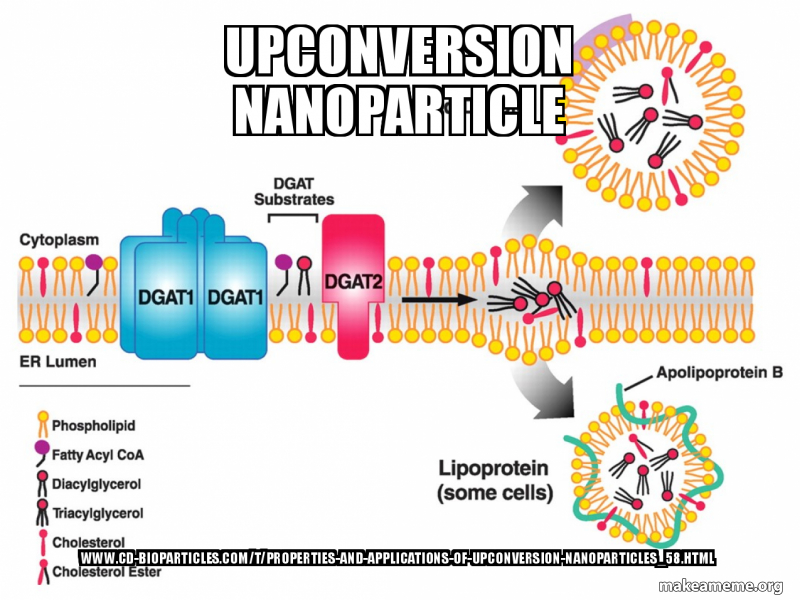 upconversion nanoparticle www.cd-bioparticles.com/t/Properties-and ...