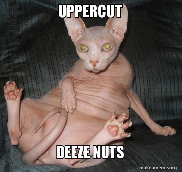 Uppercut Deeze NUTS - Hairless Cat Meme Generator