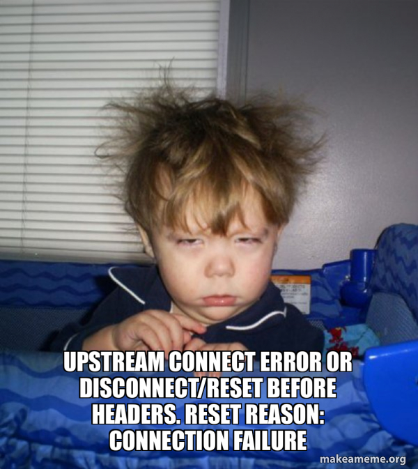 upstream connect error or disconnect/reset before headers. reset reason ...