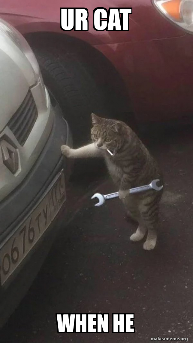 Ur cat When he - Mechanic Cat Meme Generator