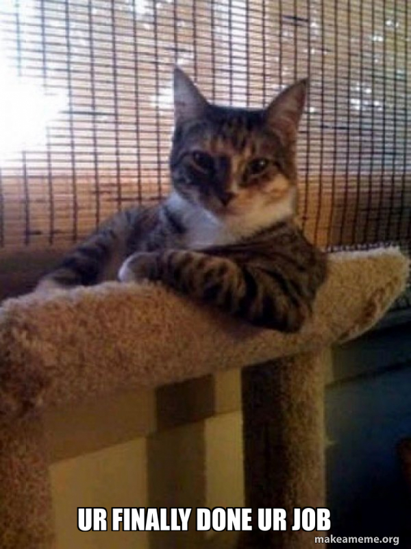 Ur finally done ur job - The Most Interesting Cat in the World Meme ...