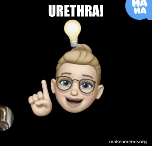 urethra! Meme Generator
