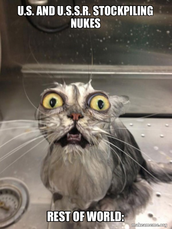 U.S. and U.S.S.R. stockpiling nukes Rest of world: - Cat bath Meme ...
