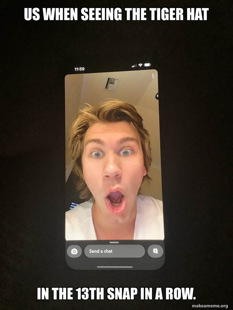 Us when seeing the tiger hat In the 13th snap in a row. Meme Generator