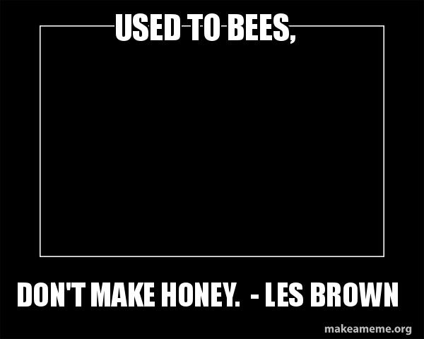 Used to bees, Don't make honey. - Les Brown - Motivational Meme Meme Generator