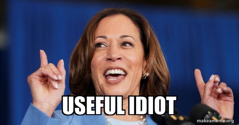 Useful Idiot Meme Generator