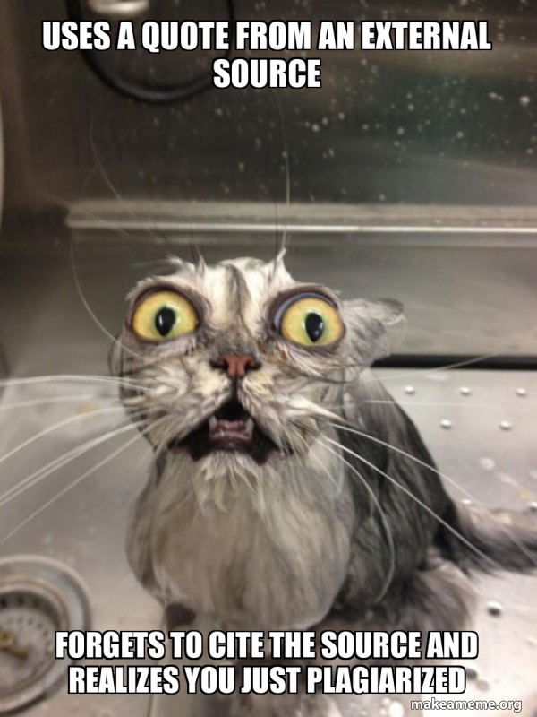 Uses a quote from an external source Forgets to cite the source and ...