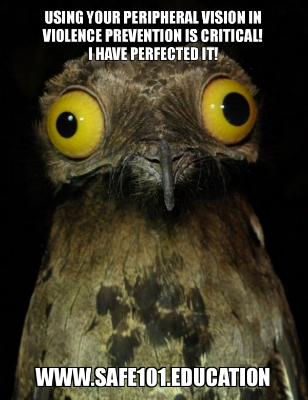 Using your peripheral vision in violence prevention is critical! I have ...