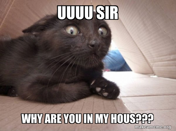 uuuu sir why are you in my hous??? - Schitzo Cat Meme Generator