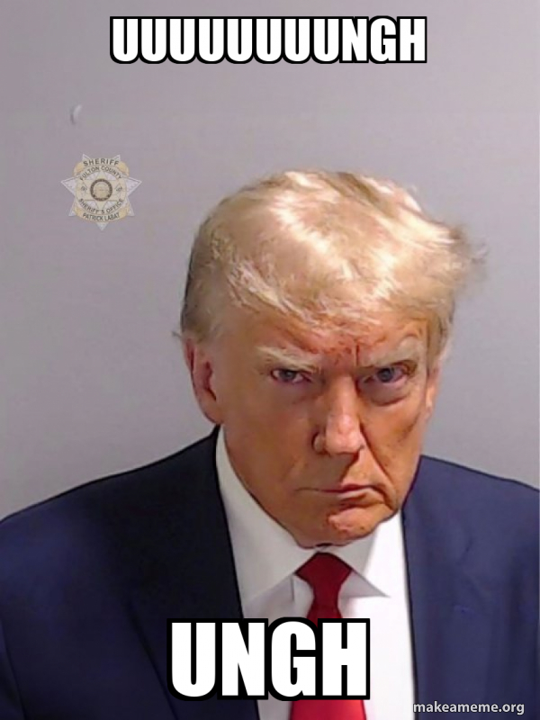 uuuuuuuungh ungh - Donald Trump Mugshot Meme Generator