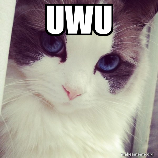 UWU - Ridiculously Photogenic Cat Meme Generator