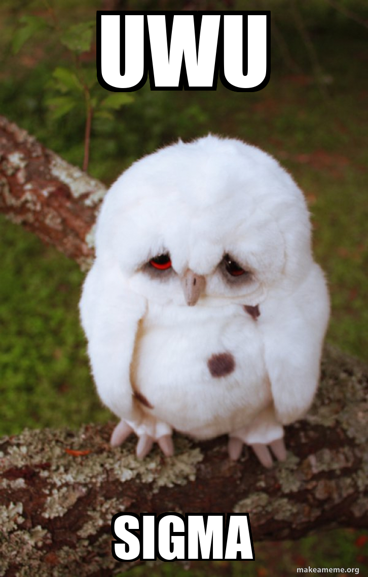 UwU Sigma - Sad Owl Meme Generator