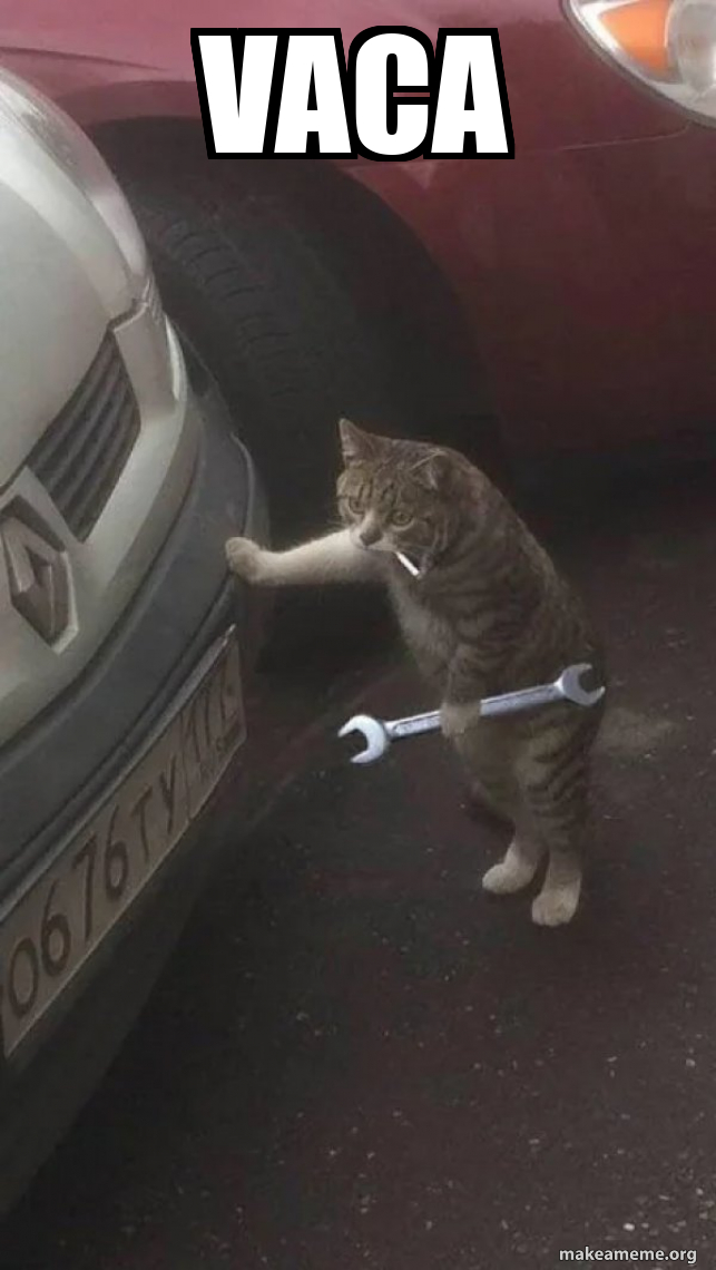 vaca - Mechanic Cat Meme Generator