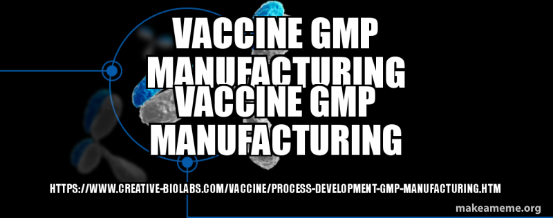 vaccine gmp manufacturing vaccine gmp manufacturing https://www ...