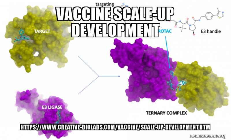 vaccine Scale-up Development https://www.creative-biolabs.com/vaccine ...